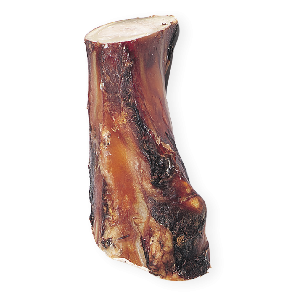 Rindermarkknochen - Antos